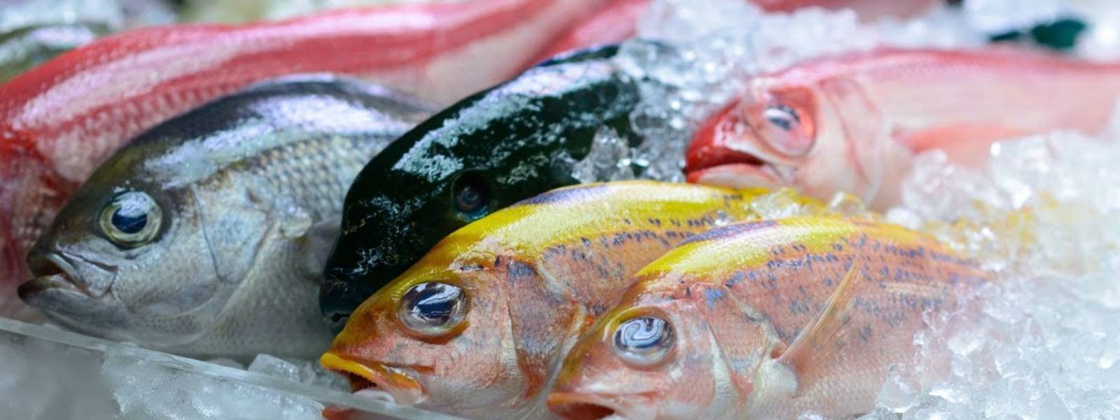 A1 Fish - Poissonnerie A1